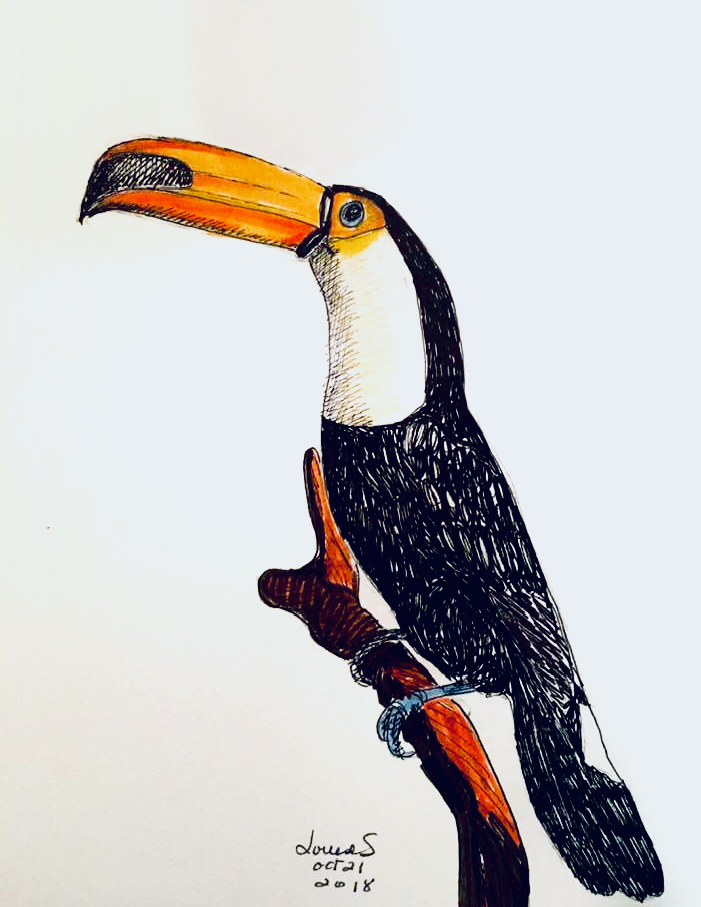 Gallery – Louise Senecal